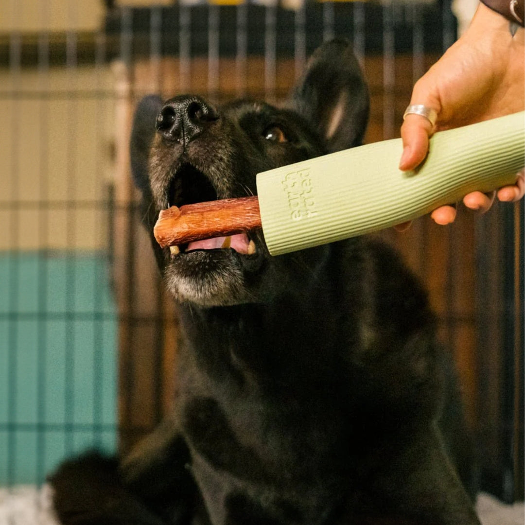 Lobitos – LOBITOS&CO